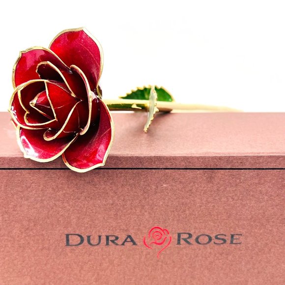 Dura Rose | Accents | 24k Gold Red Rose Eternal Dipped Everlasting Dura ...